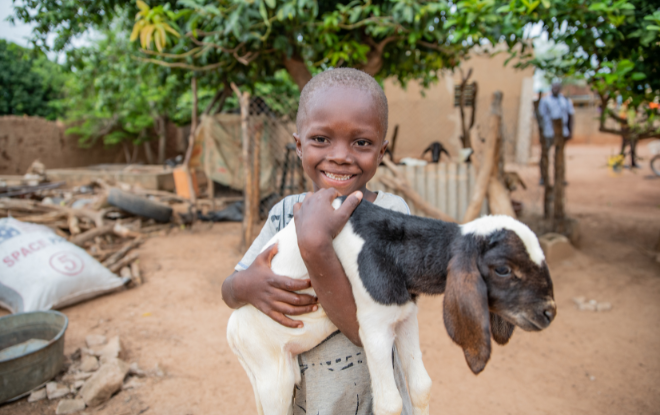 Twelve heart-melting pictures of kids with their animal buddies - TFNZ ...