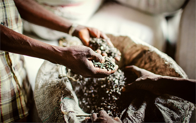 What's the difference between a hunger crisis and famine, and what ...